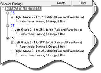DERMATOMES AND SPECIFIC NERVES